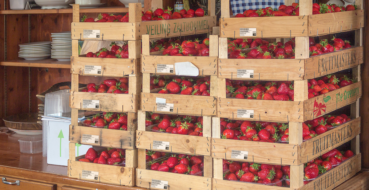 PTI Labels - Barcode Blog