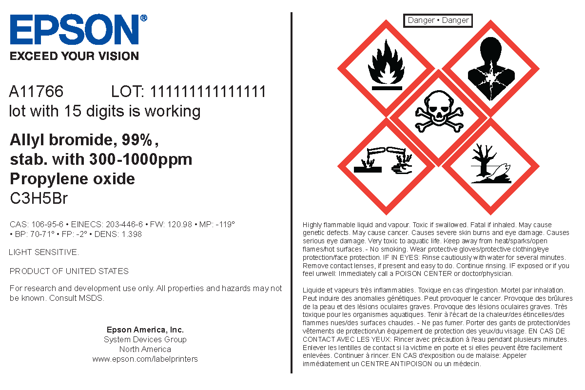 Buy Epson CW-C8000 Auto Cutter (Matte) - Label Printer